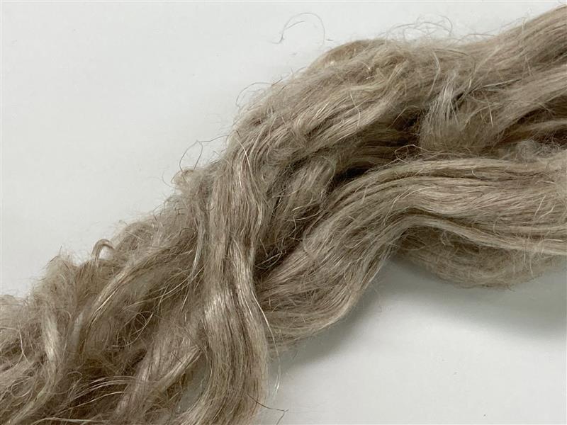 フラックス（リネン）スライバー。繊維の色はグレイッシュな亜麻色をして います。